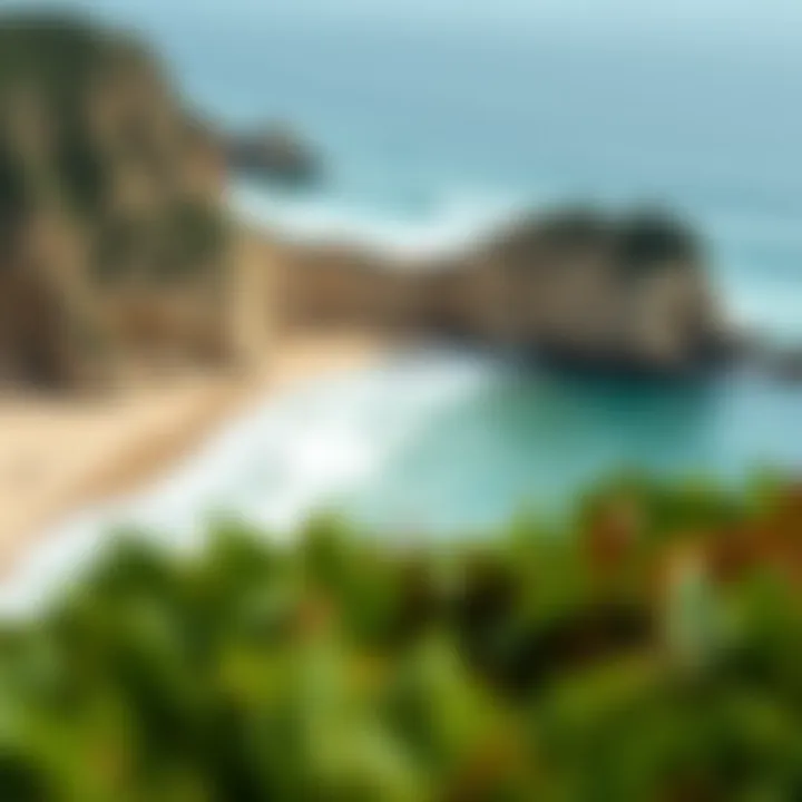 Discover the Best Surf Camps in Portugal